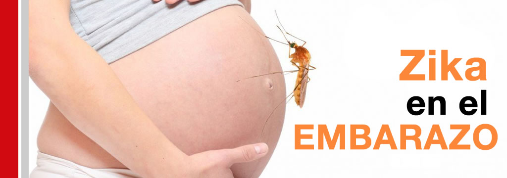 El virus de Zika y sus complicaciones en el embarazo